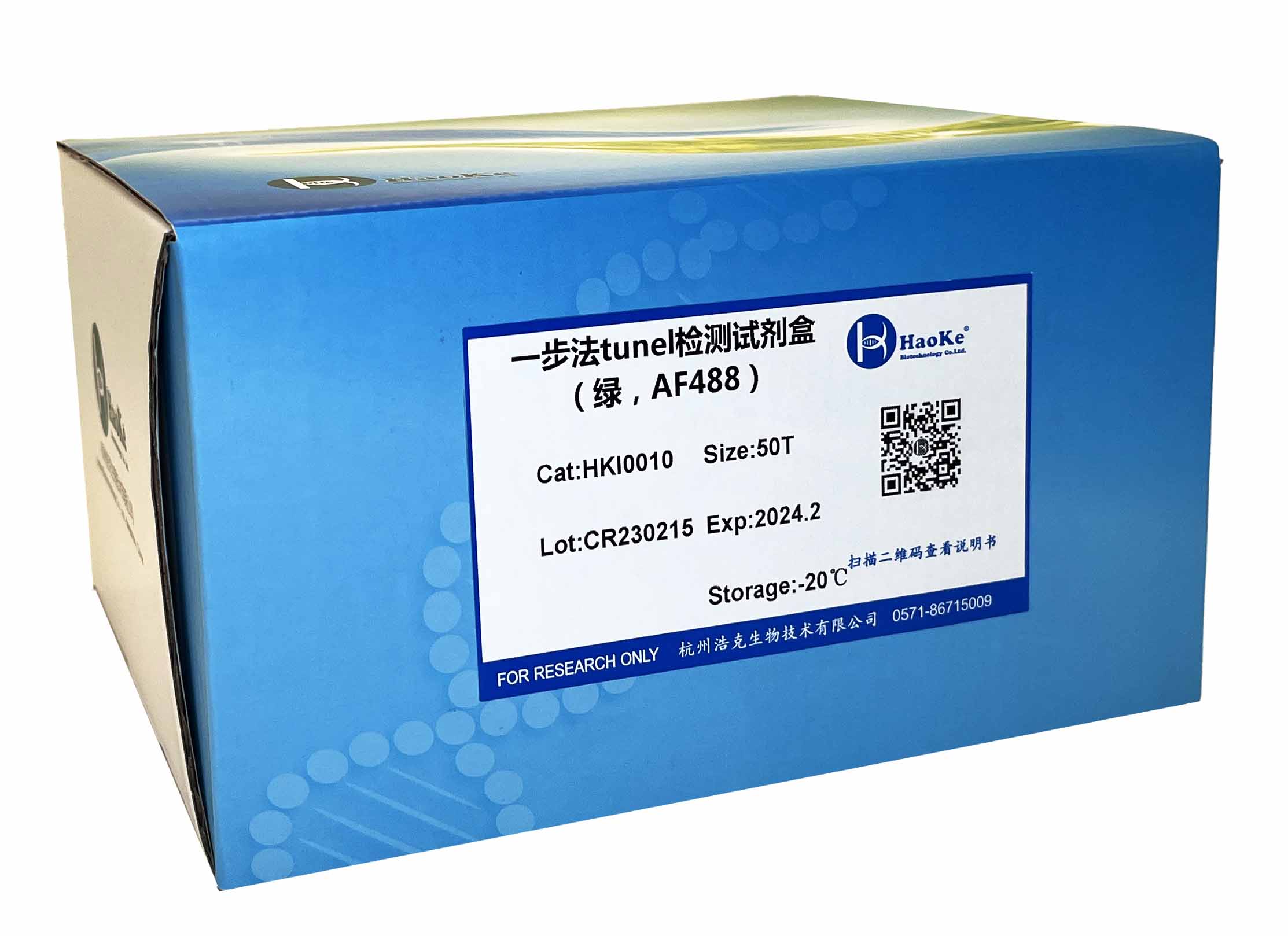 一步法TUNEL细胞凋亡检测试剂盒（绿，AF488)-杭州浩克生物